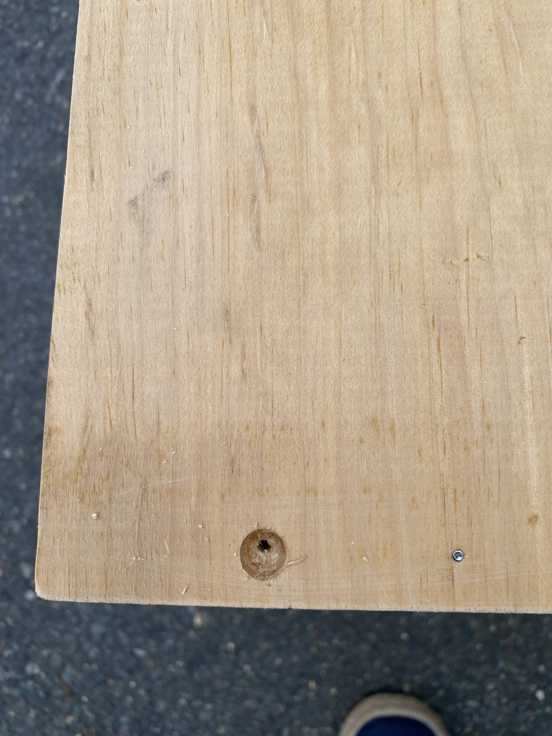 IMG_8352 | House and Hammer